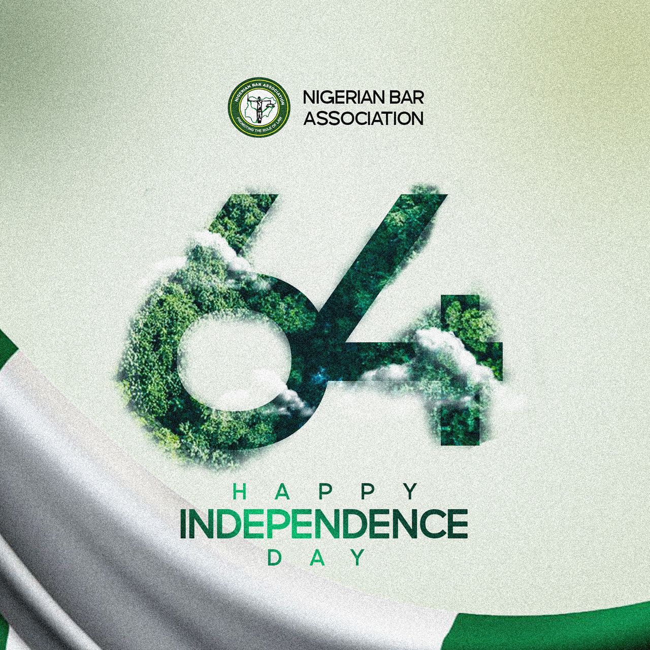 Nigeria @64: NBA offers Pro Bono Services for Peaceful Protesters ...