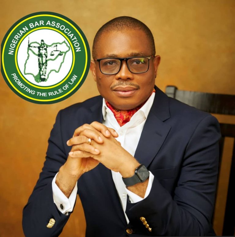 NBA President, Afam Osigwe, SAN releases List of Co-opted Members of ...